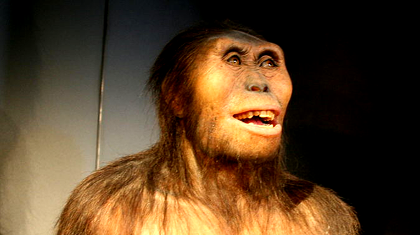 Significado de Evolução Humana (O que é, Conceito e Definição ...