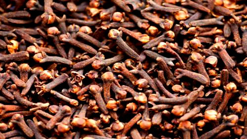 Cravo (Flor e Cravo-da-índia): o que são, significado e características ...