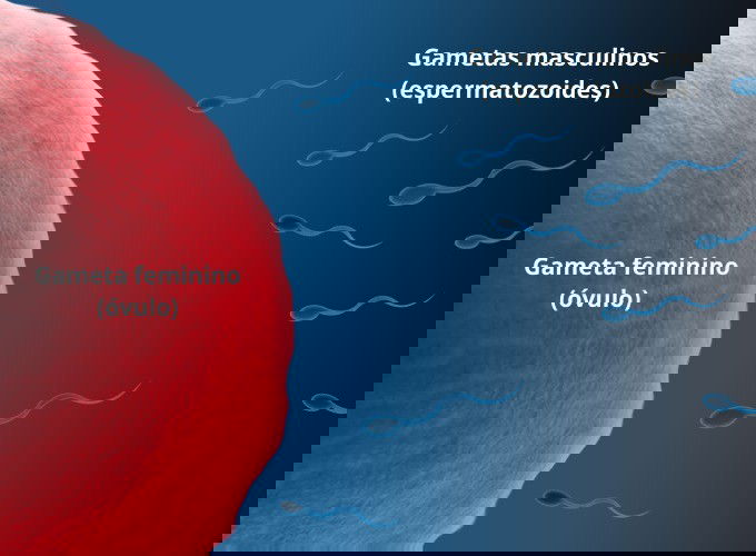Tipos de reprodução (assexuada e sexuada): o que são e exemplos ...