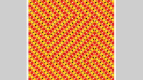 Ilusão de Ótica: o que é, tipos e imagens - Significados