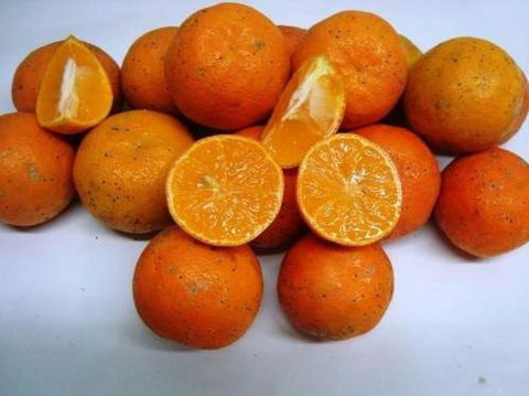 Tipos de limão: galego, siciliano, taiti e cravo - Significados